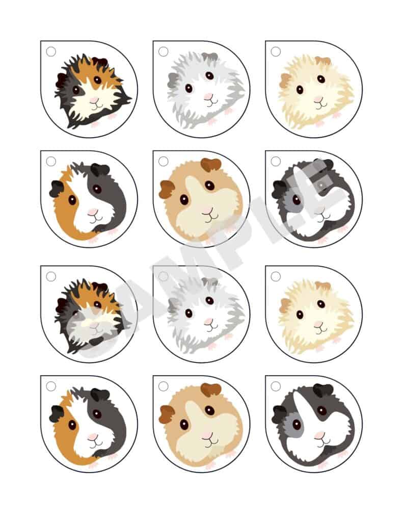 Guinea Pig Party Ideas and Free Printable Decorations | Parties Made ...
